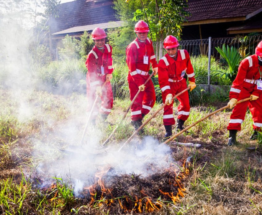 Fire Mitigation - Colorado Tree & Lawn Specialists CTLS INC
